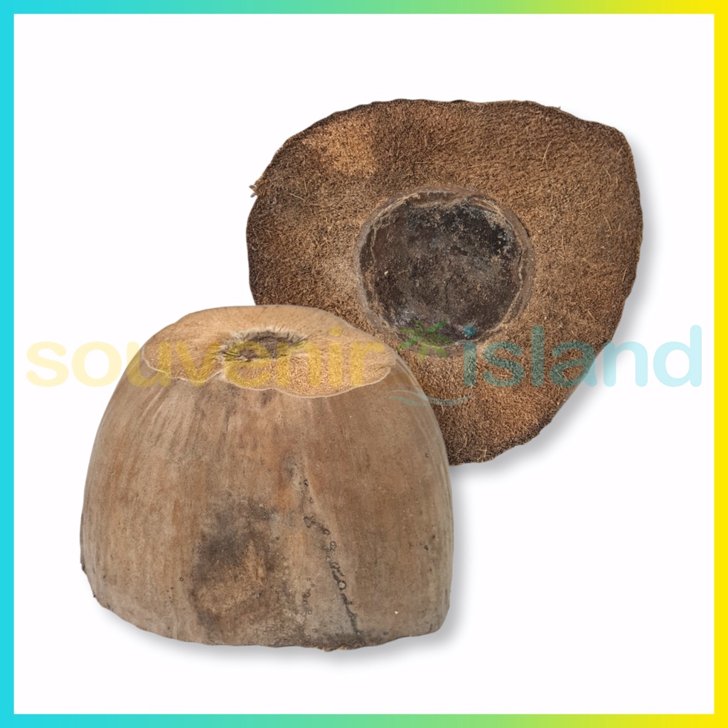 Multi Purpose Coconut Husk Bunot Bao Manual Floor Polisher Philippine ...