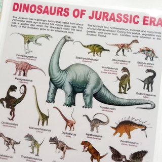DINOSAURS Charts | Laminated A4 Size Wall Chart for Kids and Toddlers ...