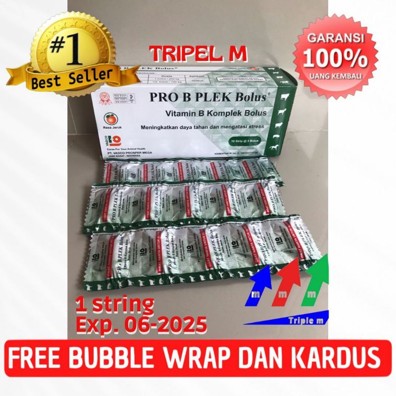 Pro B PLEX Bolus / Vitamin B Complex | Shopee Philippines