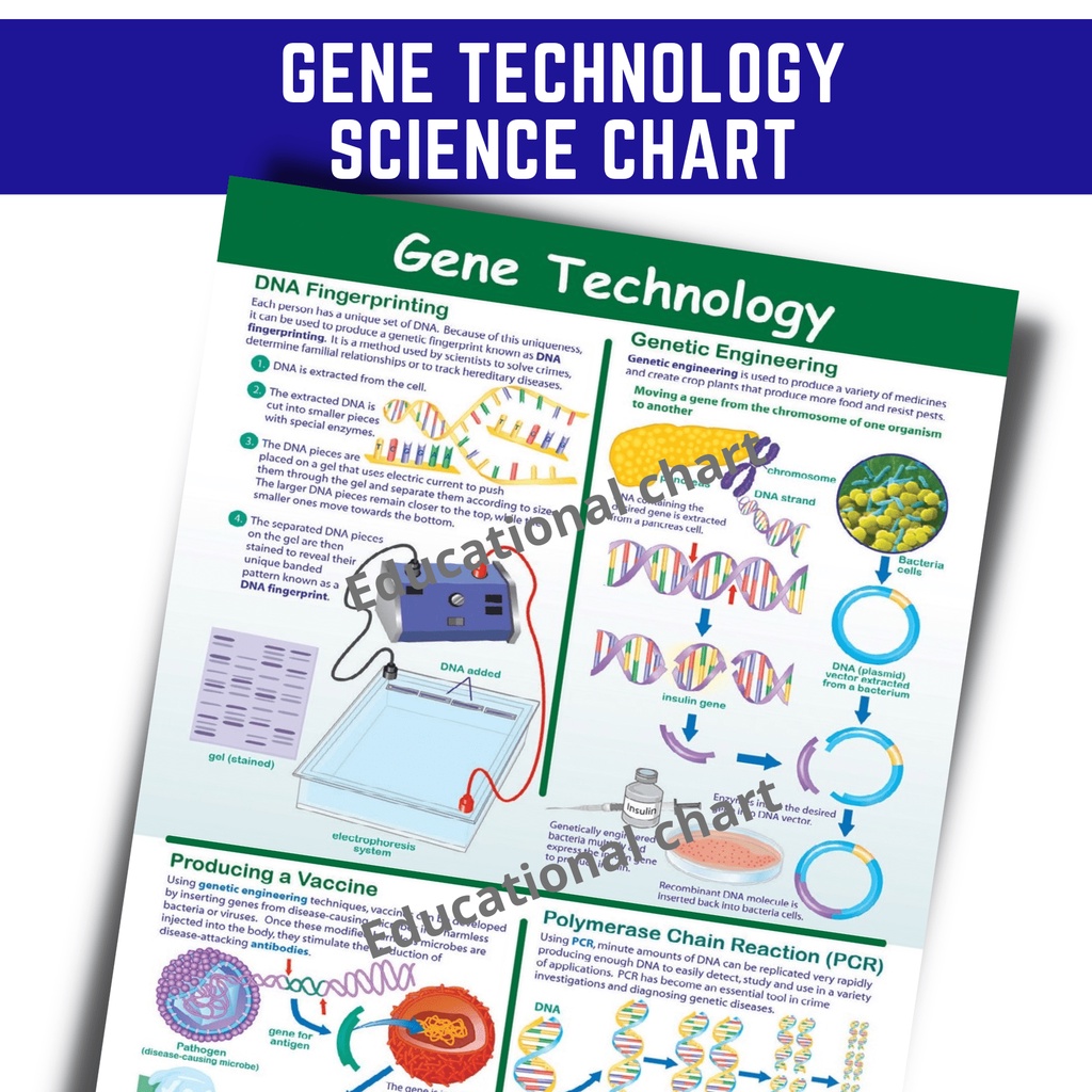 GENE TECHNOLOGY POSTERS CHARTS I ALL ABOUT SCIENCE CHARTS, A4 Size ...