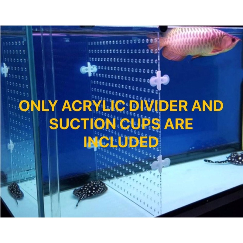 AQUARIUM ACRYLIC DIVIDER WITH HOLES - CRYSTAL CLEAR AND COLORED ...
