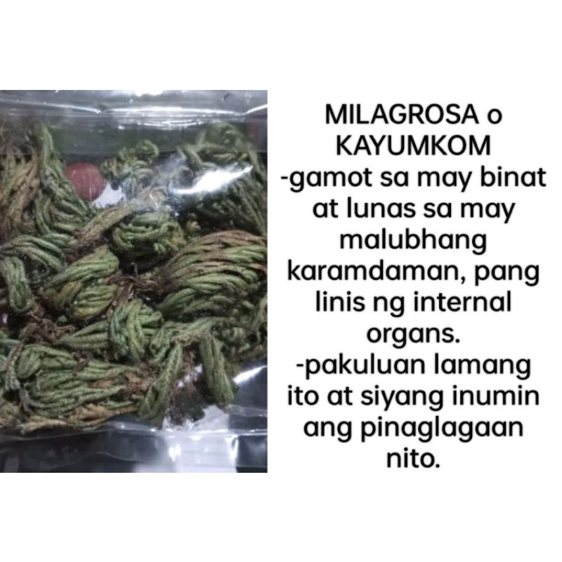 Milagrosa o kayumkom gamit sa gamutan ng mga karamdaman | Shopee ...