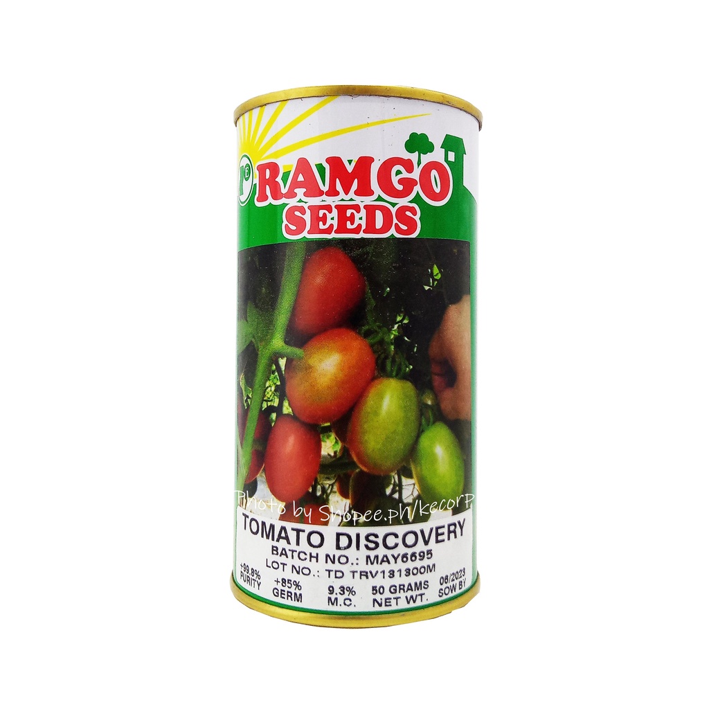 Ramgo Seeds Tin Can Tomato Discovery 50g GDSFPH_S4 | Shopee Philippines