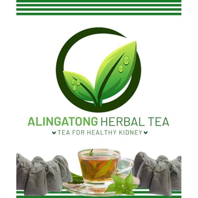 Alingatong Herbal Tea (Made from 100% Alingatong Roots) | Shopee ...