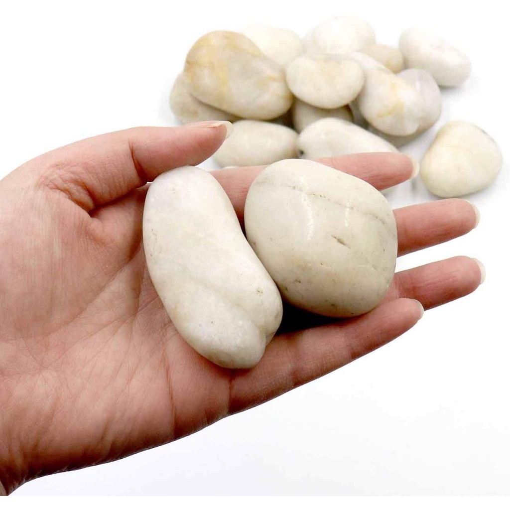 White rocks New Western white pebble rivers rocks | Shopee Philippines