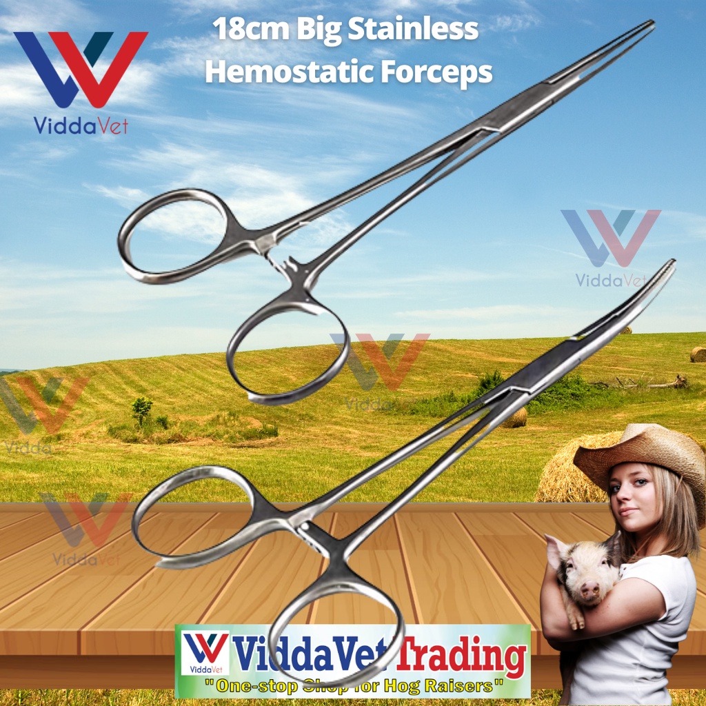 18 cm Stainless Hemostatic Forceps Curved Veterinary Animal 7.5" Fish ...