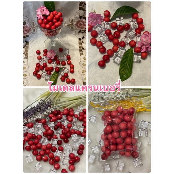 Super Fake Fruit Cranberry Model (Sold For 1 Bag) | Shopee Philippines