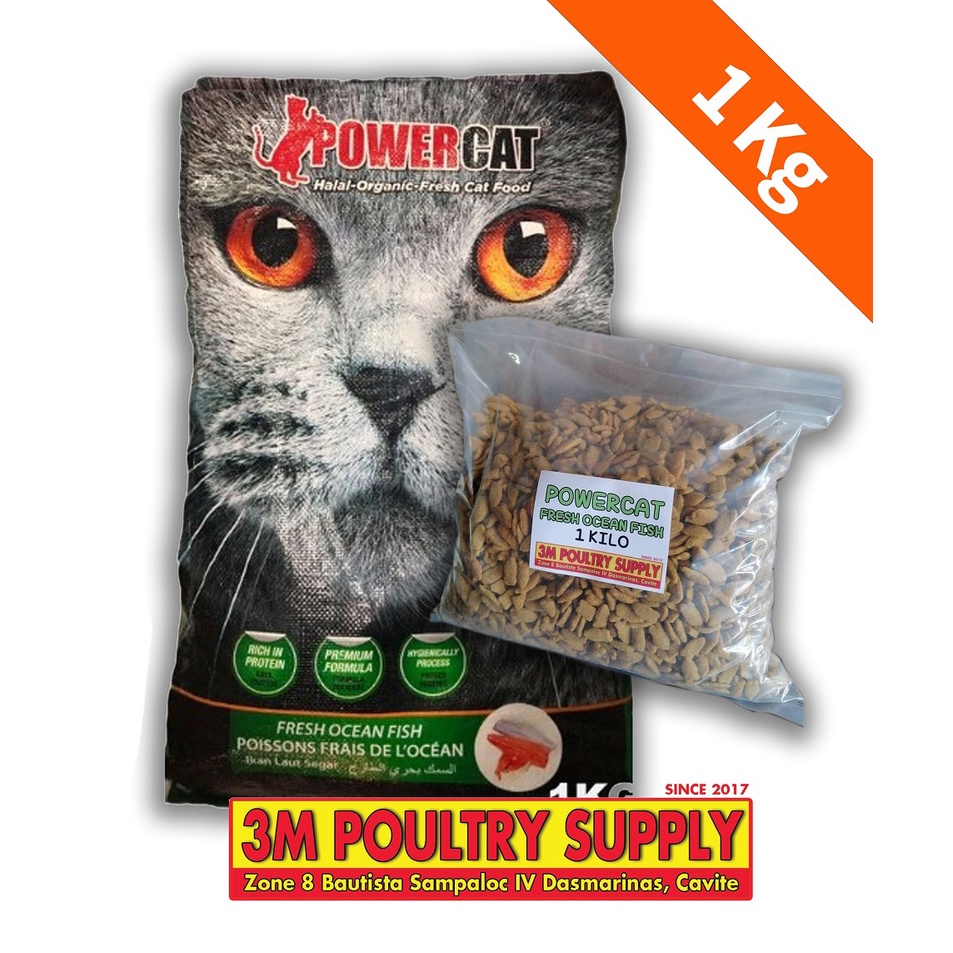 Powercat Cat - Halal - Dry Cat Food (1Kg) | Shopee Philippines