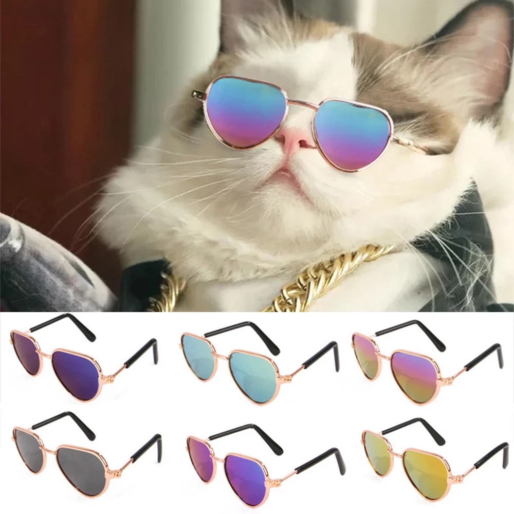 Pet Sunglasses Teddy Cat Glasses Pet Cool Fashion Accessories Eye ...