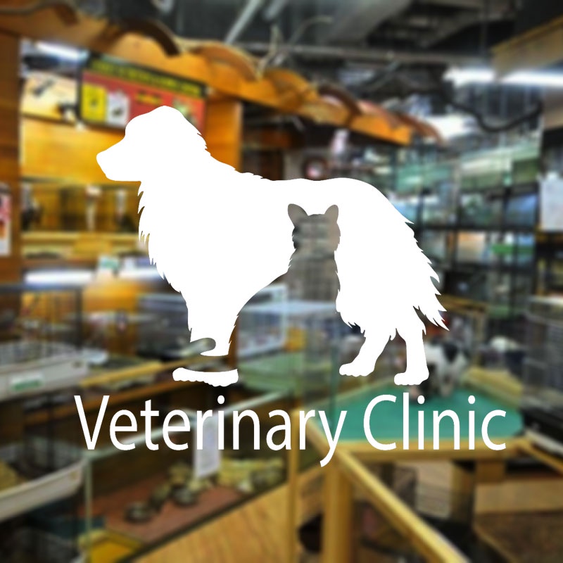 Veterinary Clinic Window Sticker Vinyl Interior Decoration Wallpaper ...