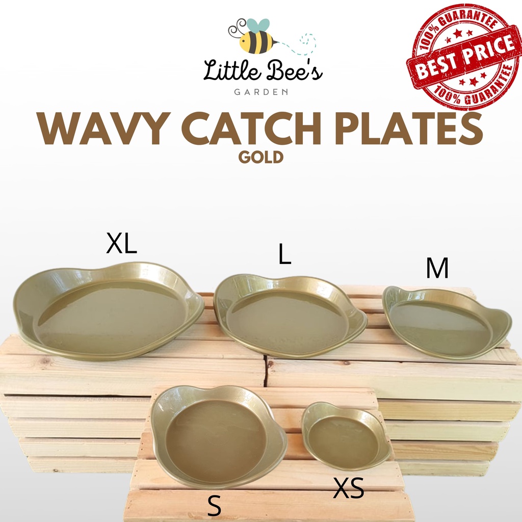 GOLD Classy Wavy Catch Plates [Little Bee's Garden] | Shopee Philippines