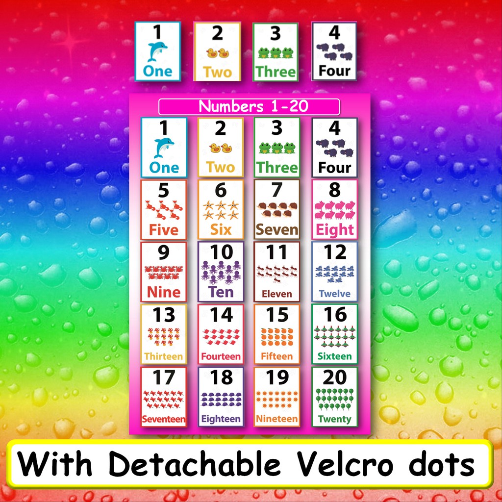 Number educational chart activity laminated | Shopee Philippines