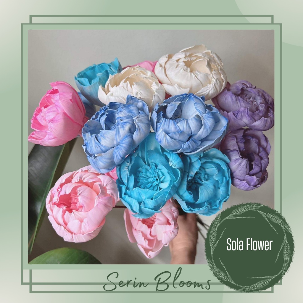 Peonies / Marigold/ Dahlia /Sola Flowers sold per stem | Shopee Philippines
