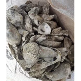 Fish Daddeh, Online Shop | Shopee Philippines