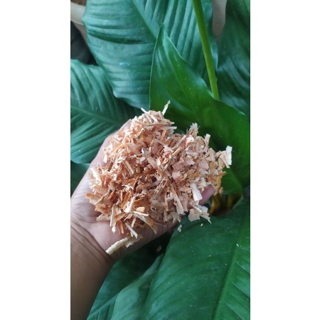kusot for beddings| wood shavings | Kusot for hamham 1 kg | Shopee ...