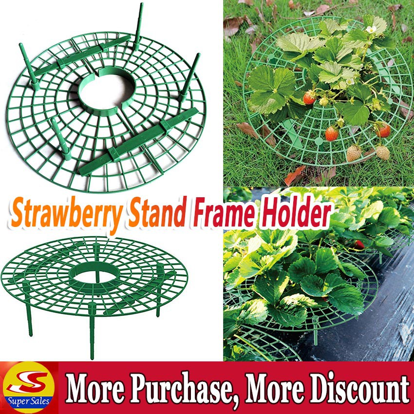 【CLEARANCE】Strawberry Stand Frame Holder Green Plant Flower Climbing ...