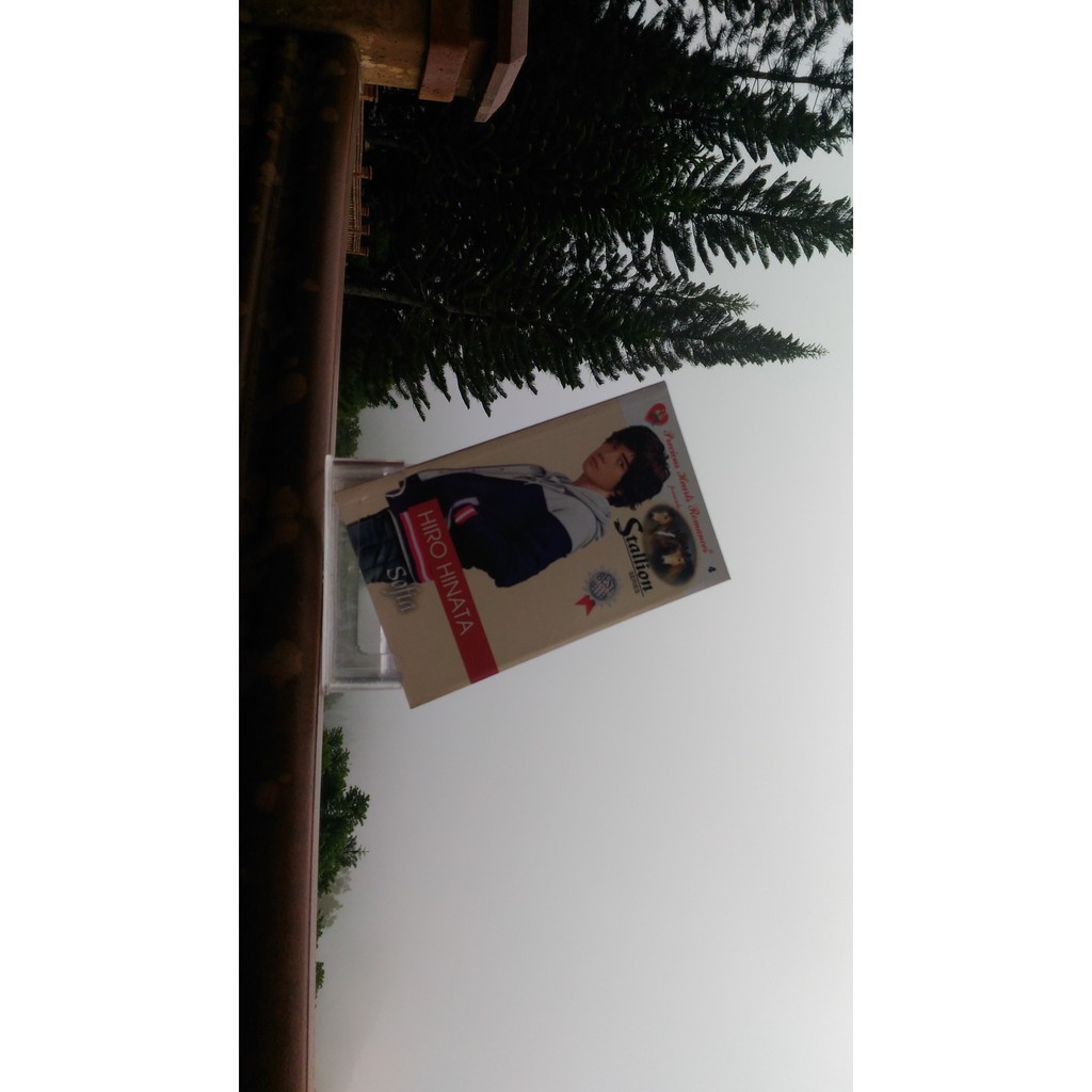 Stallion Series by Sonia Francesca and Sofia | Stallion Boys | Stallion ...