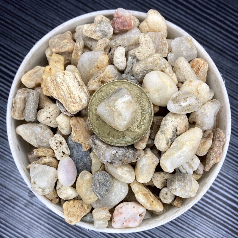 Pebbles Plants/Aquarium - Assorted, Black, Boracay, White Selected ...