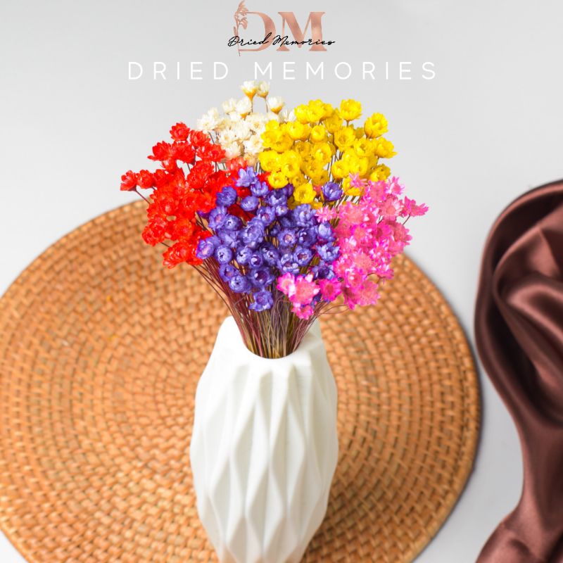 50 stems MINI Dried Star Flower Real Flower Happy Gift Wedding Party ...