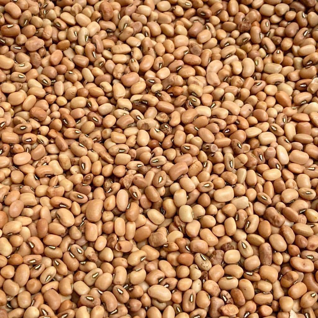 Tolo Beans (250 Grams) | Shopee Philippines