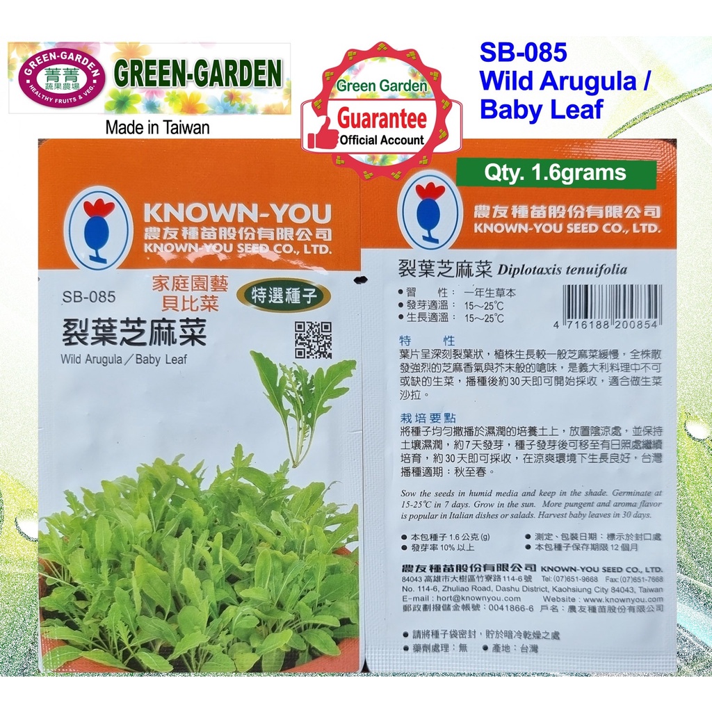 Known You Special Seeds (SB-085 Wild Arugula/Baby Leaf) | Shopee ...