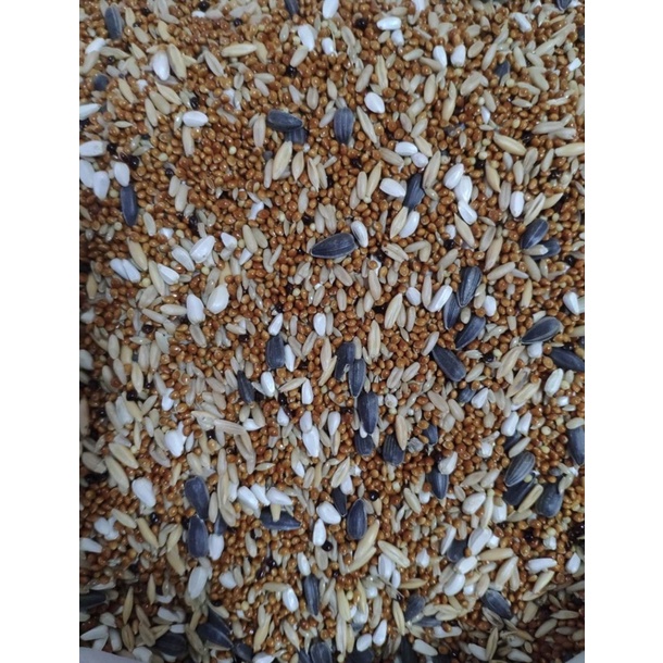 red african bird mix(repacked x 1kilo) | Shopee Philippines