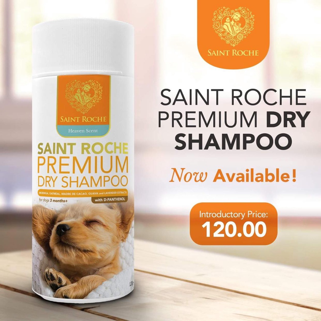 Saint Roche Premium Dry Shampoo (128g) | Shopee Philippines