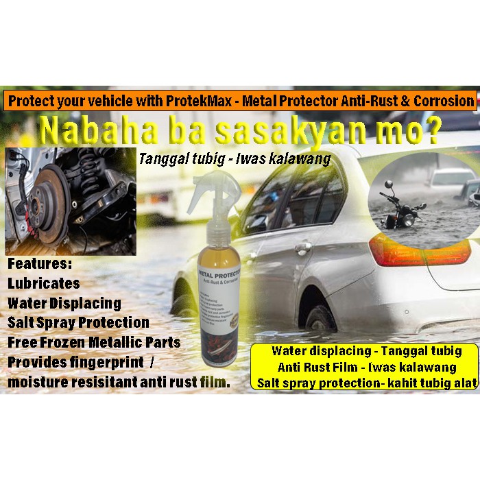 Anti-Rust and Corrosion - Metal Protector - Lubricant Spray - (250 ml ...