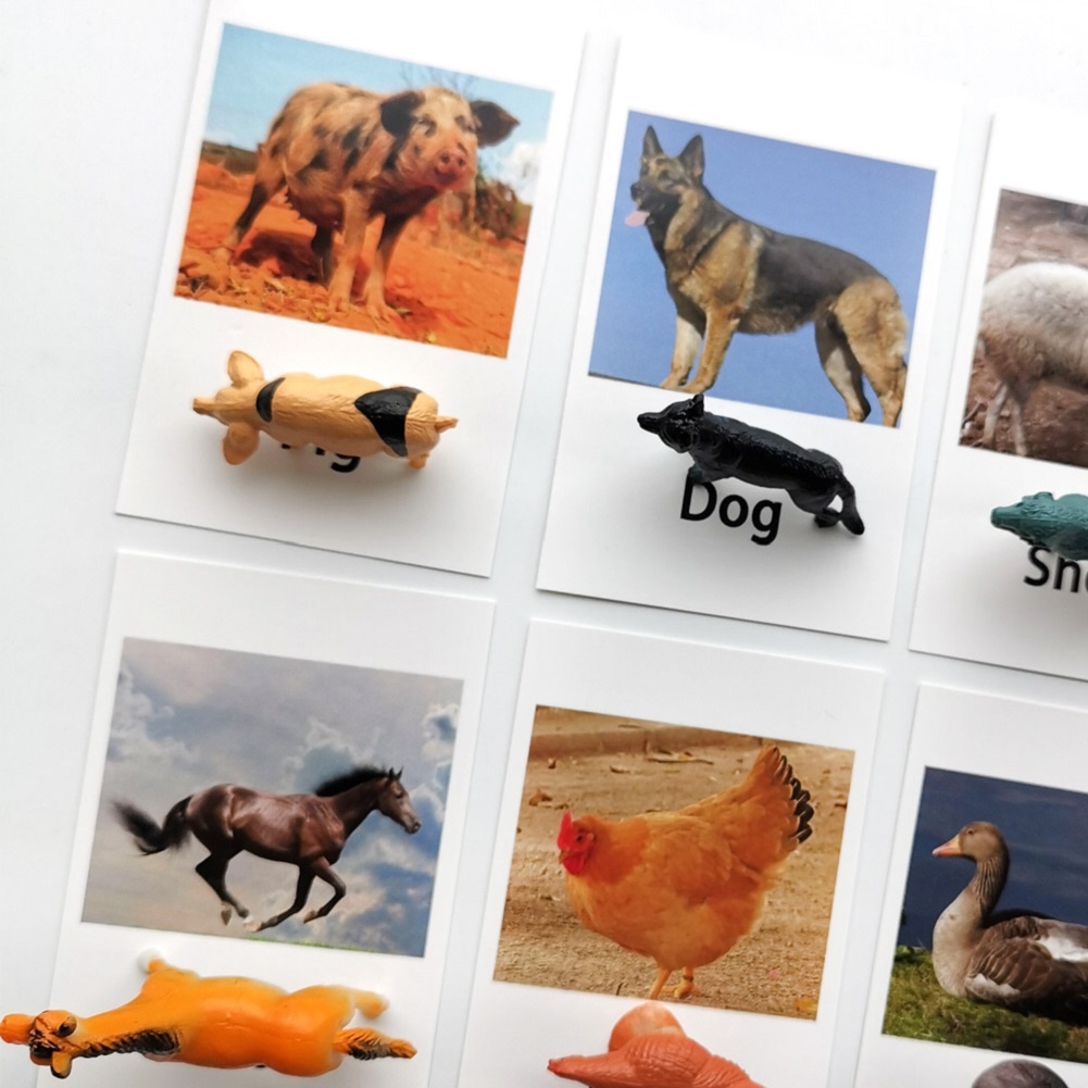 Montessori Education Learning Language Animal Early Childhood Preschool ...