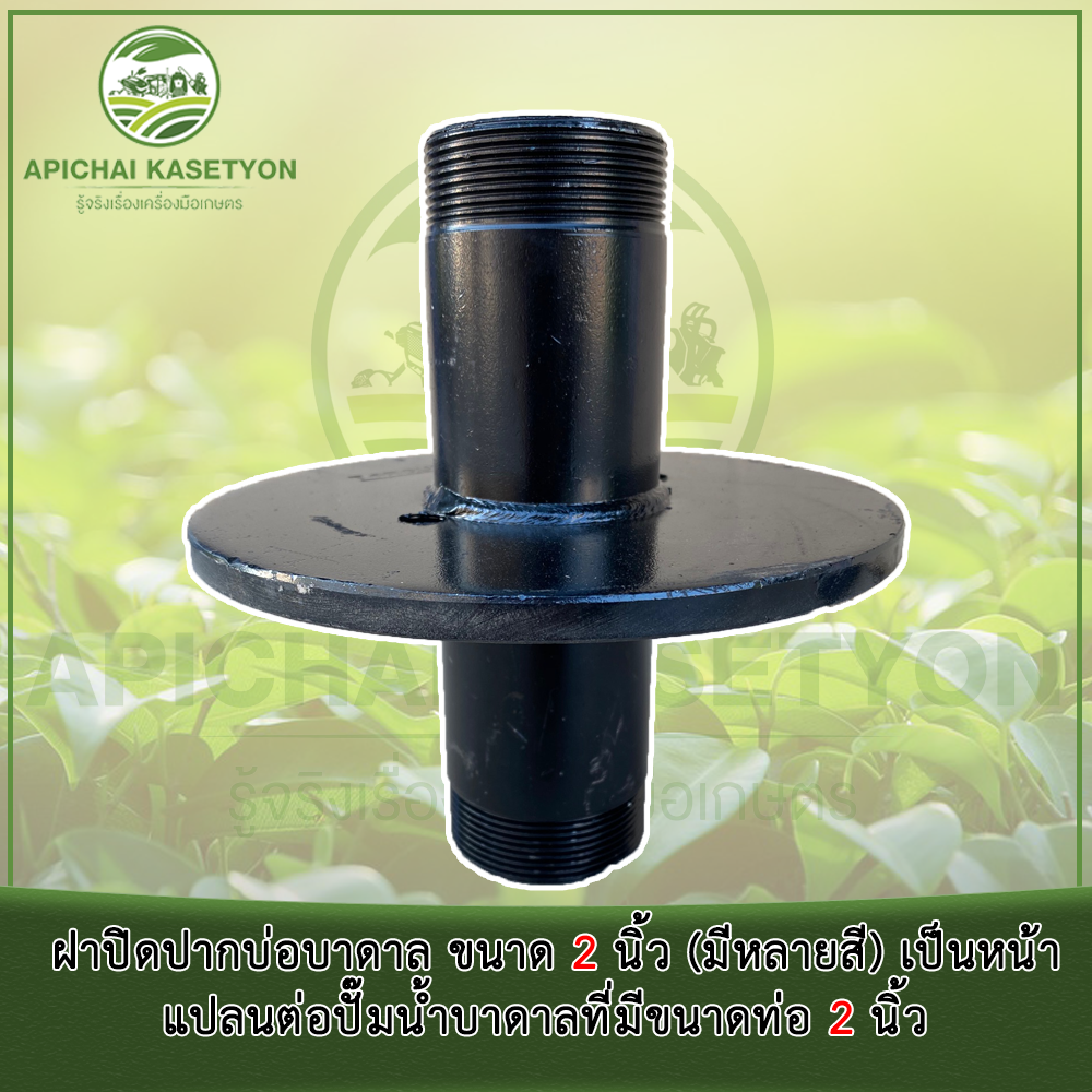 2-Inch Deep Well-Dip Cap (Many Colors) Is A Flange For Well Pumps With ...