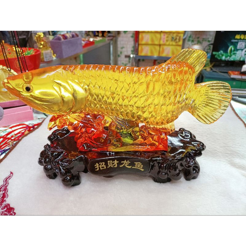 fengshui lucky citrine arowana fish display ! 7inches*10.5inch | Shopee ...