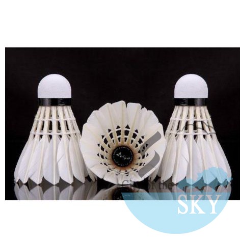 COD 2pcs badminton shuttlecocks | Shopee Philippines