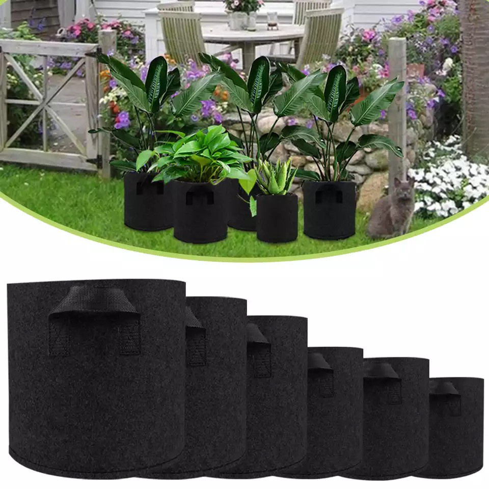 Non Woven Flower Pot Planting Bags Felt Plant Growth Bags Beauty ...