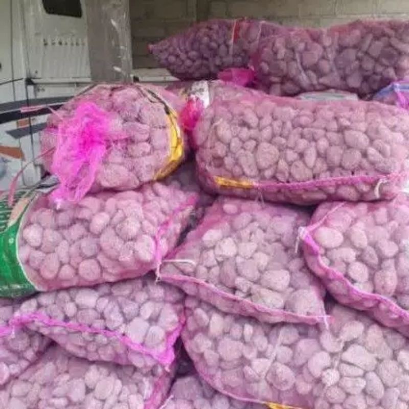 Gombong Stone filter media per kg | Shopee Philippines