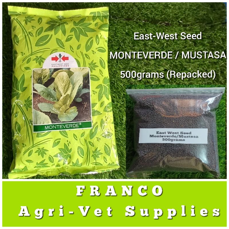 East West Seeds Monteverde Mustasa Seeds ( 500 grams Repacked ...