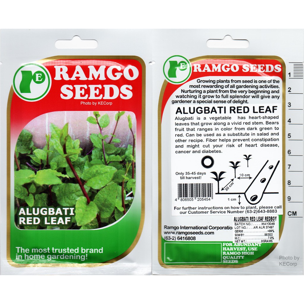 Ramgo Seeds Sold Per Pack Per Variety - Alugbati Cabbage Bunching Onion ...