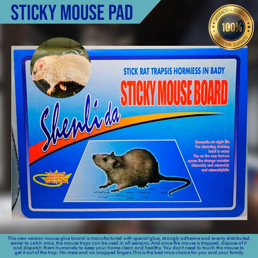 Rat & Mouse Sticky Mice Rodent Glue Board Bait Trap-Z008 | Shopee ...