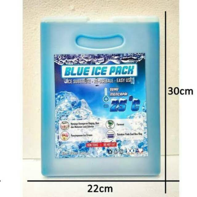 Large ice pack / jumbo ice pack / Cooling | Shopee Philippines