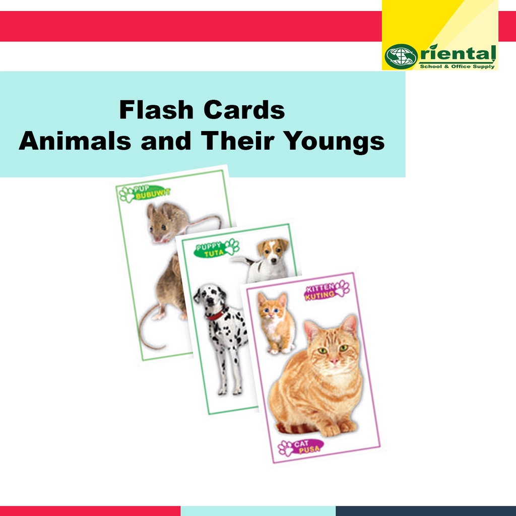 Animals and Their Youngs Flash Card - Filipino and English Version of ...