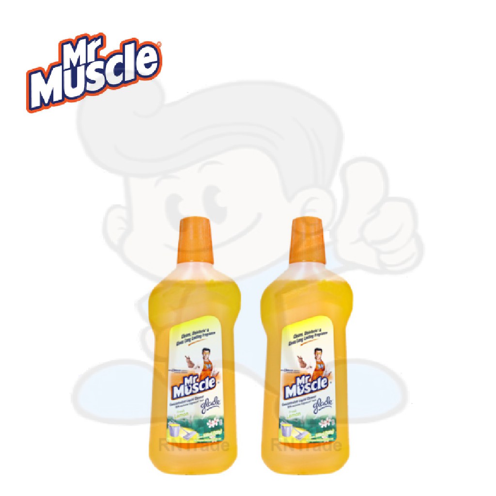 Mr. Muscle Multi Purpose Cleaner Fresh Lemon (2 x 500 ml) | Shopee ...