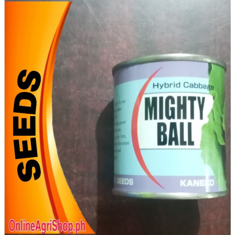 MIGHTY BALL F1 HYBRID CABBAGE (50 GRAMS) KANEKO | Shopee Philippines