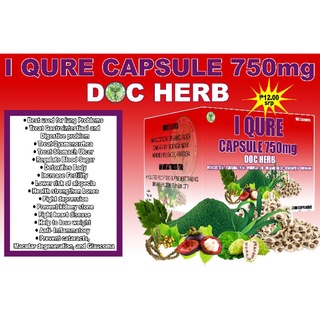 I Qure Capsule 750mg (100pcs) | Shopee Philippines