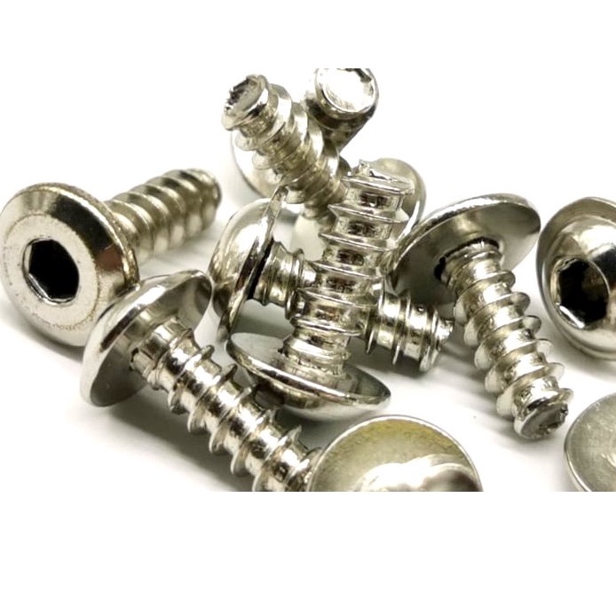 Body Bolt Screw 5x14 and 5X16 stainless | Shopee Philippines