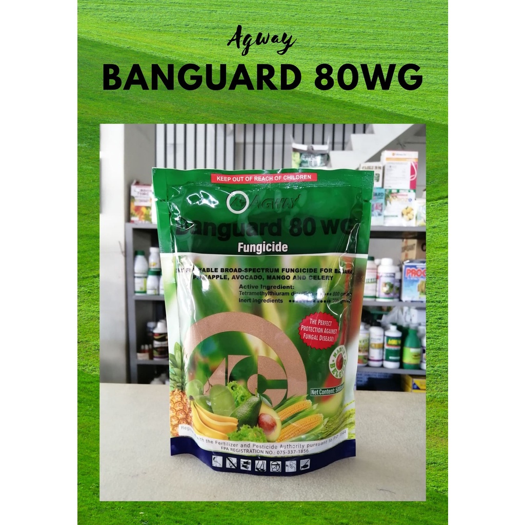 Agway BANGUARD 80WG 500grams | Shopee Philippines