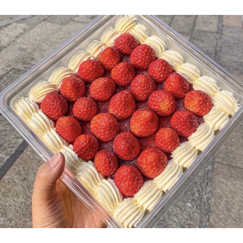 Square PET cake container for tub cakes cream cakes | Shopee Philippines