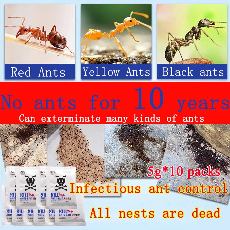 One infected whole nest died ant bait killer gel ants powder killing ...