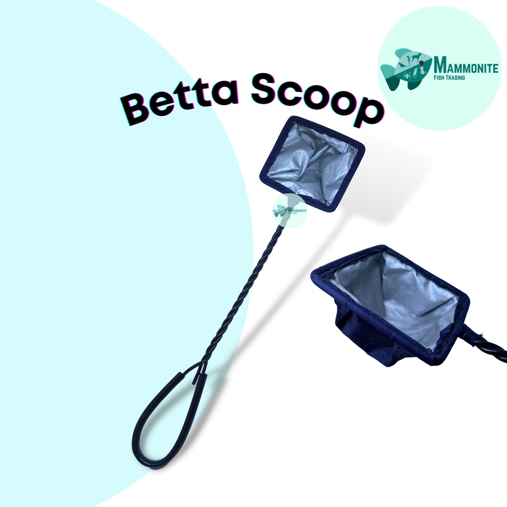 Betta Scoop Fish Scooper Cleaning Tool Grooming Durable Flexible ...