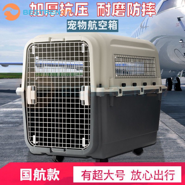National Airlines Box Cat Cage Air Pet Consignment Dog Small Medium ...