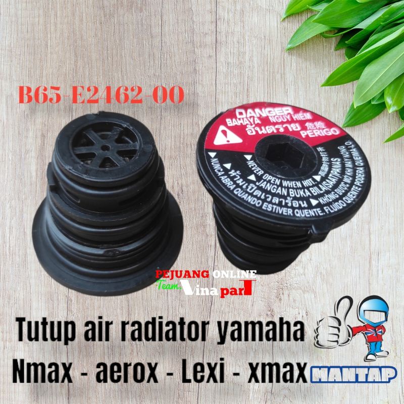 Yamaha aerox 155 lexi nmax new 2020 xmax original b65 radiator Water ...
