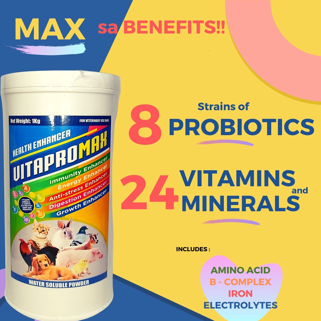 VITAPROMAX 8 PROBIOTICS + 24 MULTIVITAMINS AND MINDERALS | Shopee ...